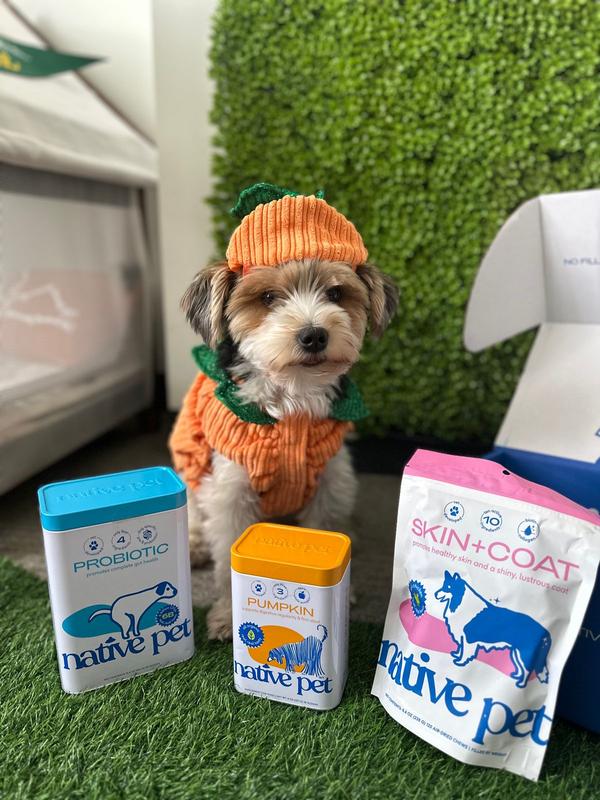 Native Pet Organic Pumpkin Powder for Dogs: Digestive & Gut Health Support