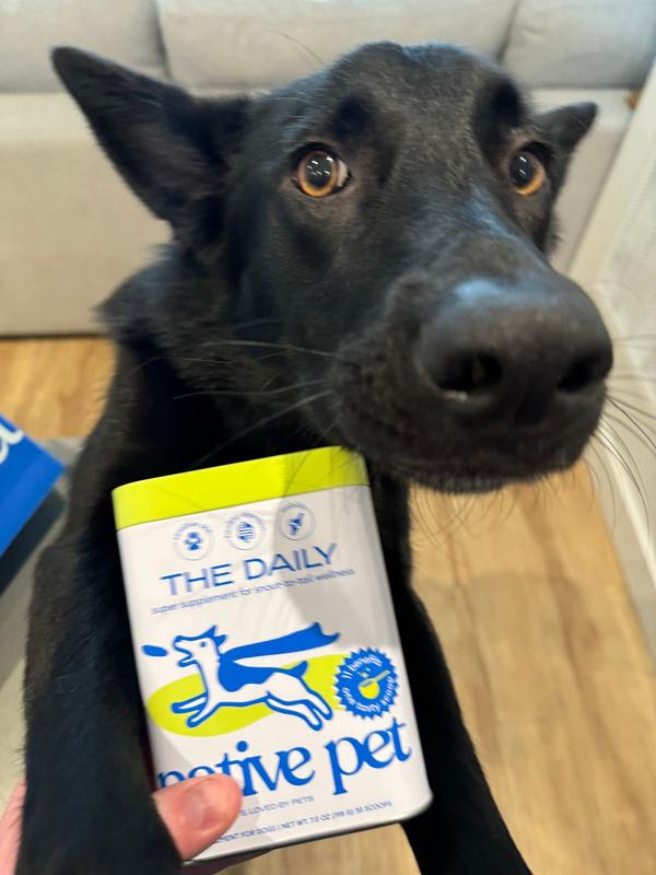 Native Pet Daily Dog Supplement - Mobility & Gut Health 7 oz