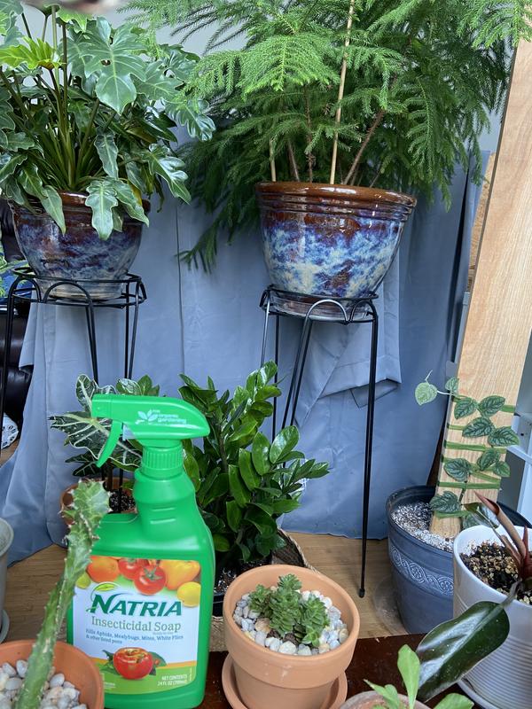 Natria 1-Gallon Insecticidal Soap Ready-to-use Garden Insect Killer ...