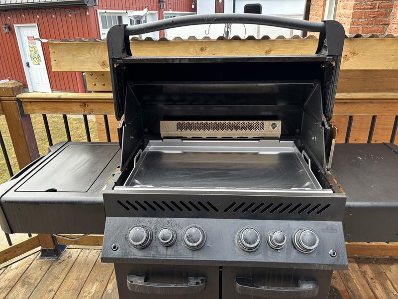 NAPOLEON Stainless steel Griddle press in the Grilling Tools & Utensils ...