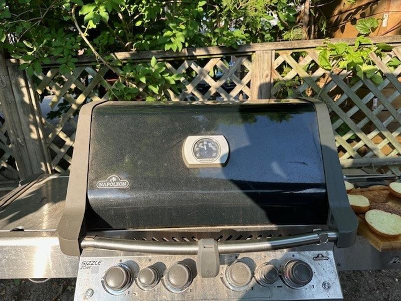 NAPOLEON Grilling Accessories Cast Iron Non-stick Griddle and Pan Set ...