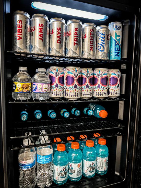 Newair 125 Can Beer Froster Beverage Refrigerator with Fast Frosting ...