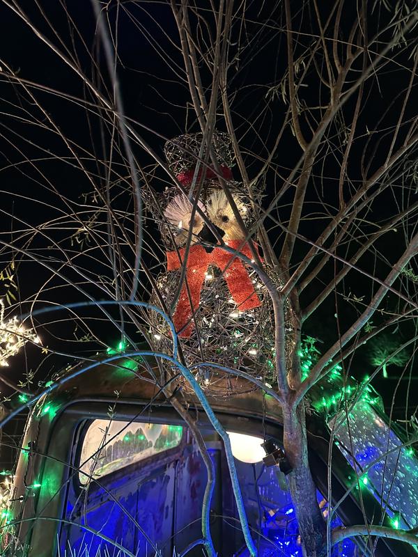 Northlight Lighted Glitter Rattan Owl Outdoor Christmas Decoration - 21 ...