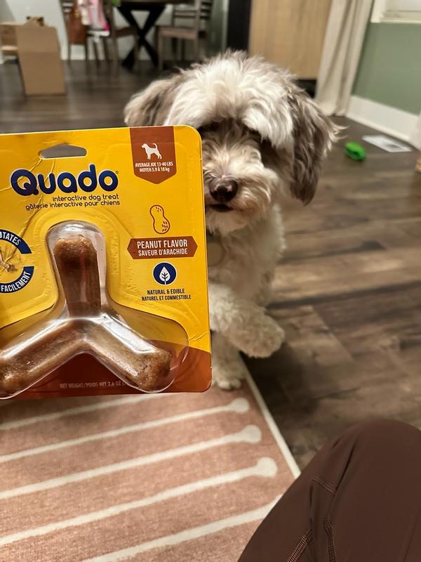 N-Bone Quado Peanut Flavor Interactive Large Dog Treats, 6.8 oz. | Petco