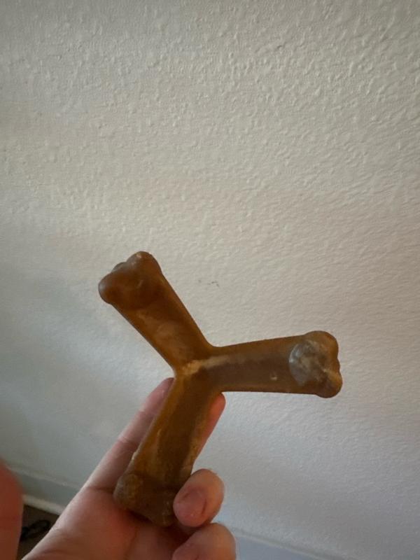 N-Bone Quado Peanut Flavor Interactive Large Dog Treats, 6.8 oz. | Petco