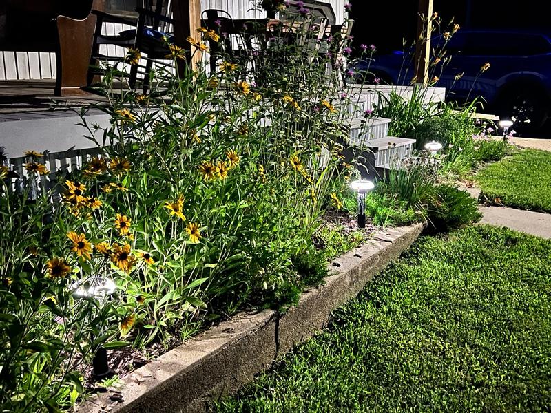 Cedar Hill 6 -Pack 21 -Lumens 0.74 -Watt Black Solar LED Outdoor Path ...