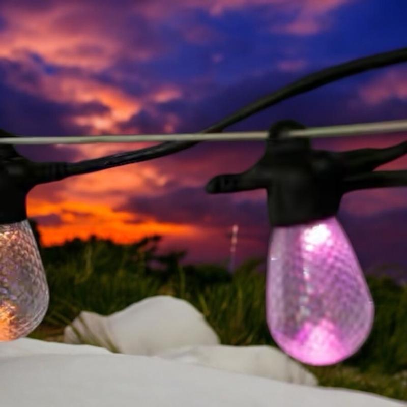 Westinghouse 48FT Color Changing LED String Light with Rope Light in ...