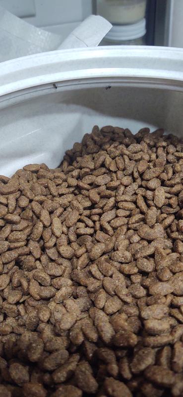 Nutro Ultra Chicken, Lamb & Salmon Protein Trio Small Breed Dry Dog Food, 8 lbs. | Petco