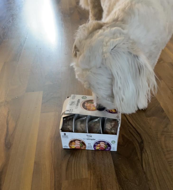 Nutro So Simple Meal Complement Wet Dog Food Chicken & Duck Recipes in ...