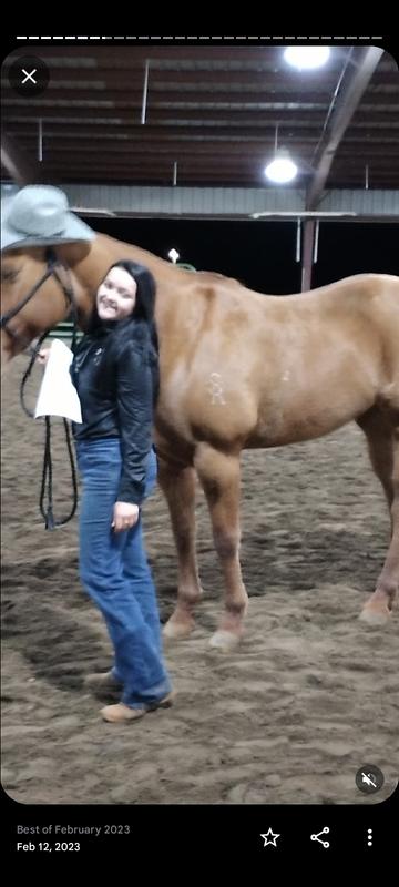 Nutrena ProForce Fuel Textured Horse Feed, 50 lb. Bag at Tractor Supply Co