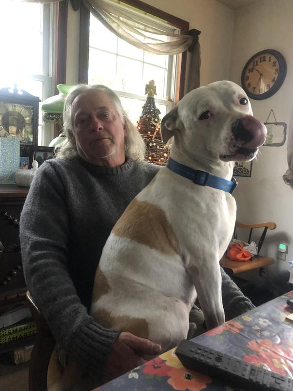 Nutrena Loyall Life All Life Stages Grain-Free Chicken and Sweet Potato ...