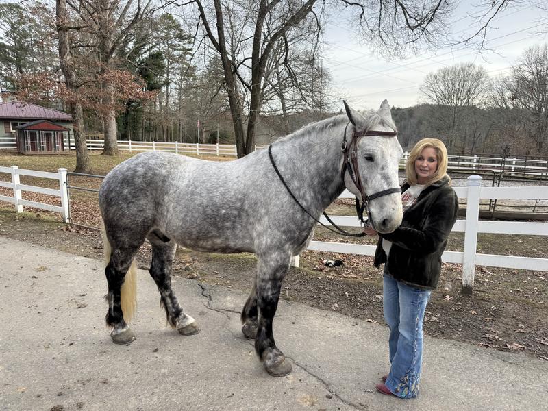 Nutrena ProForce Fuel XF Textured Horse Feed, 50 lb. Bag at Tractor ...