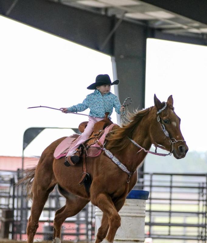 Nutrena ProForce Fuel XF Textured Horse Feed, 50 lb. Bag at Tractor ...