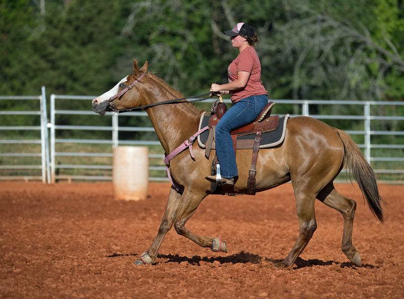 Nutrena ProForce Fuel XF Textured Horse Feed, 50 lb. Bag at Tractor ...