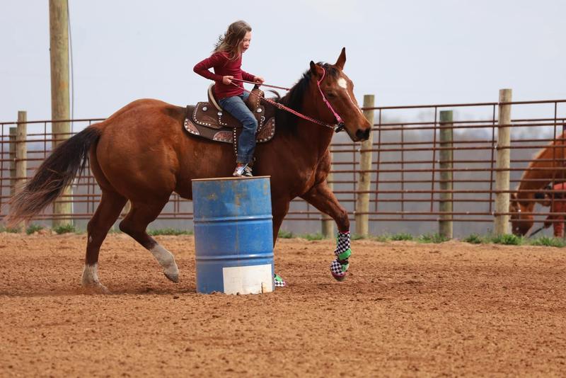 Nutrena ProForce Fuel XF Textured Horse Feed, 50 lb. Bag at Tractor ...