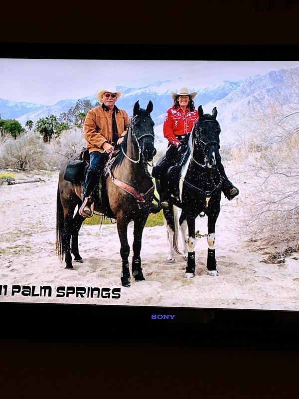 Nutrena Empower Boost High-Fat Rice Bran Horse Feed Supplement, 40 lb ...