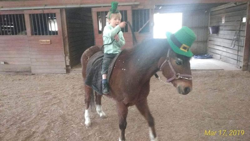 Nutrena Empower Boost High-Fat Rice Bran Horse Feed Supplement, 40 lb ...