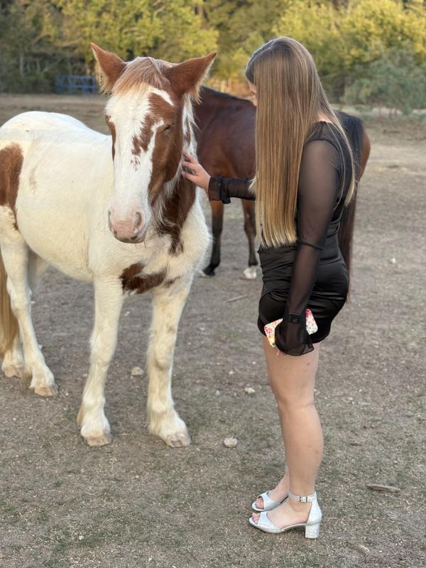 Nutrena Empower Boost High-Fat Rice Bran Horse Feed Supplement, 40 lb ...