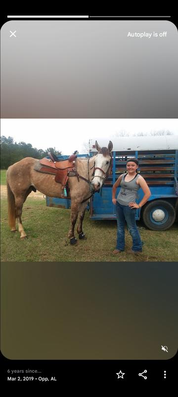 Nutrena ProForce Fuel Textured Horse Feed, 50 lb. Bag at Tractor Supply Co