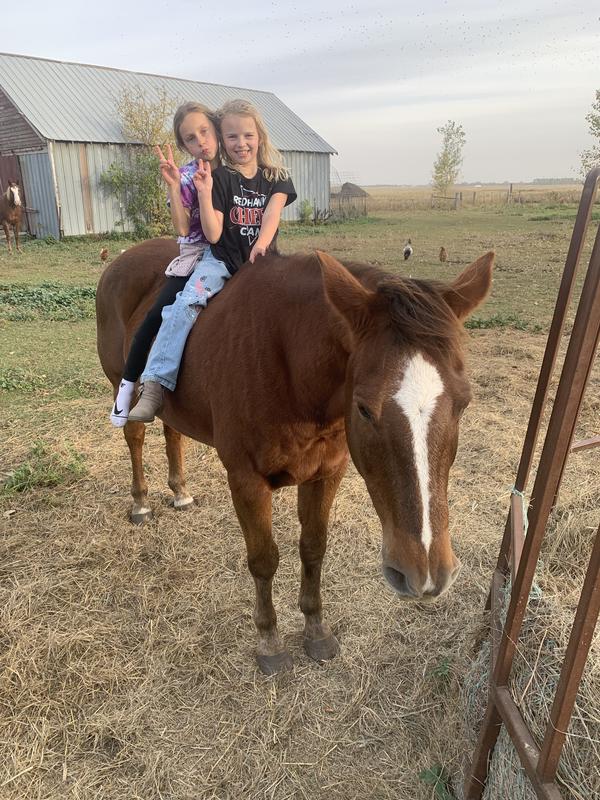 Nutrena ProForce Textured Senior Horse Feed, 50 lb. Bag at Tractor ...