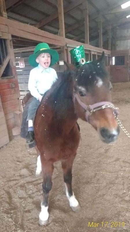 Nutrena Empower Boost High-Fat Rice Bran Horse Feed Supplement, 40 lb ...