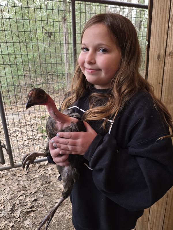 Nutrena Hi Pro Scratch Poultry Grains at Tractor Supply Co