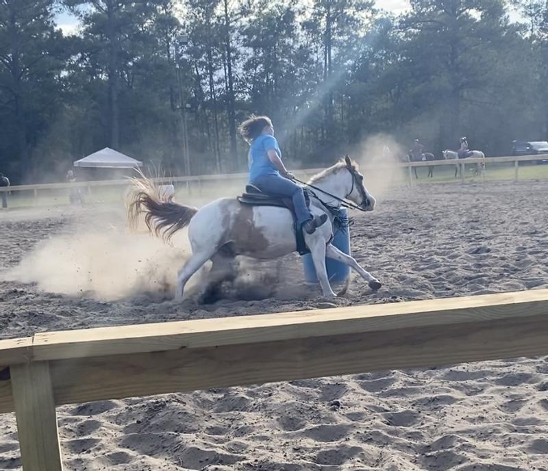 Nutrena ProForce Fuel XF Textured Horse Feed, 50 lb. Bag at Tractor ...