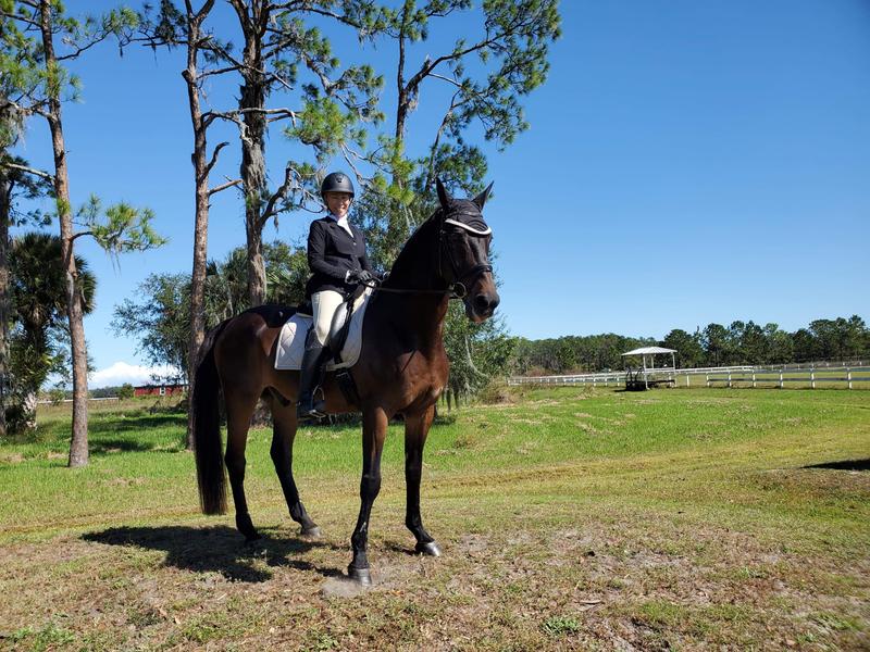 Nutrena Empower Boost High-Fat Rice Bran Horse Feed Supplement, 40 lb ...