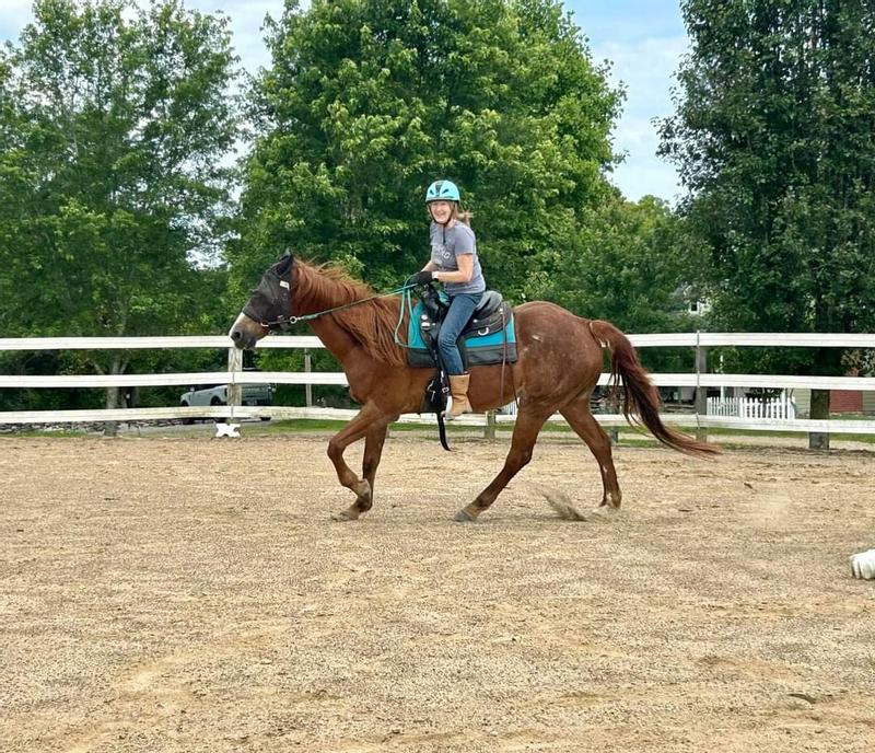 Nutrena SafeChoice Pelleted Senior Horse Feed, 50 lb. Bag at Tractor ...