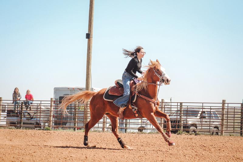 Nutrena ProForce Fuel XF Textured Horse Feed, 50 lb. Bag at Tractor ...
