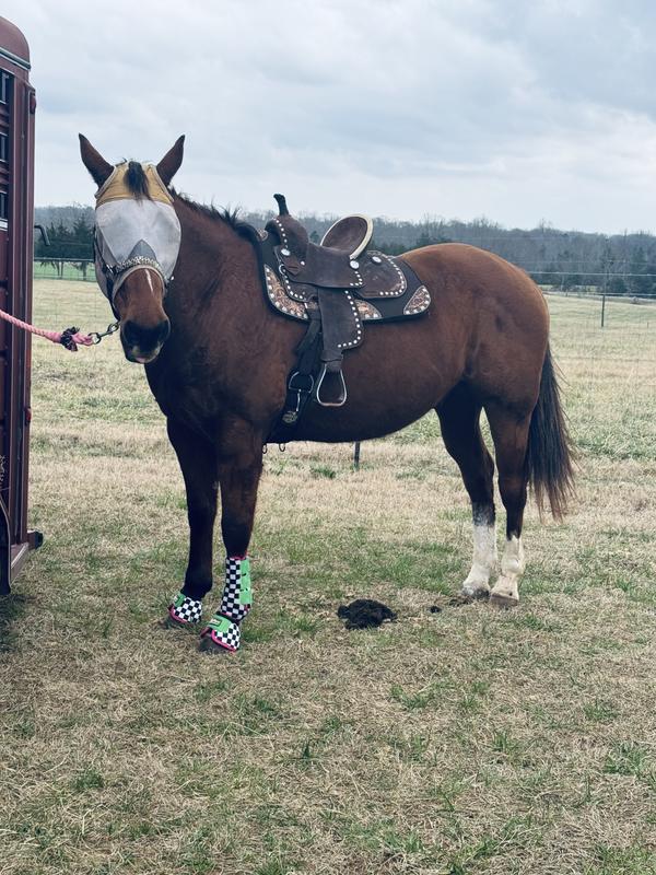 Nutrena ProForce Fuel XF Textured Horse Feed, 50 lb. Bag at Tractor ...