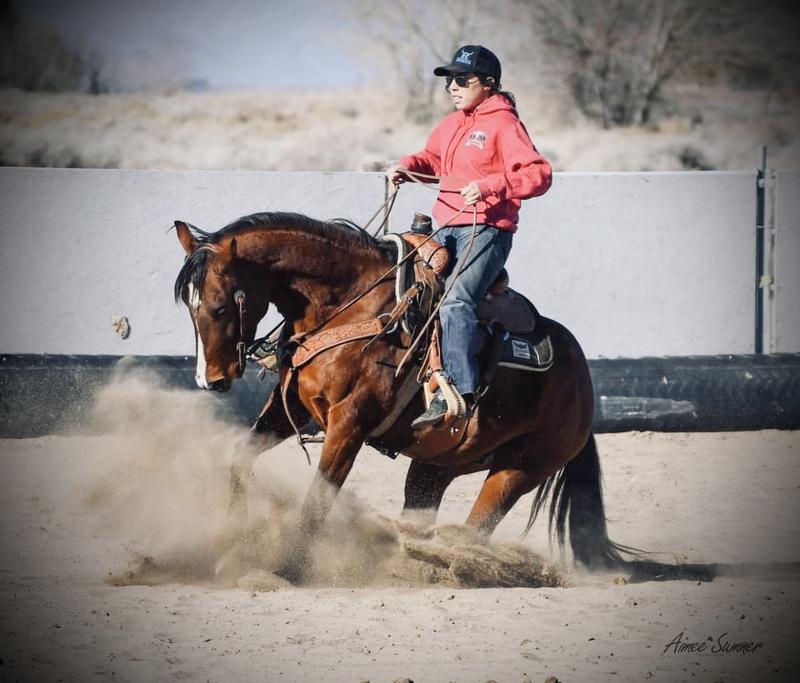 Nutrena ProForce Fuel XF Textured Horse Feed, 50 lb. Bag at Tractor ...
