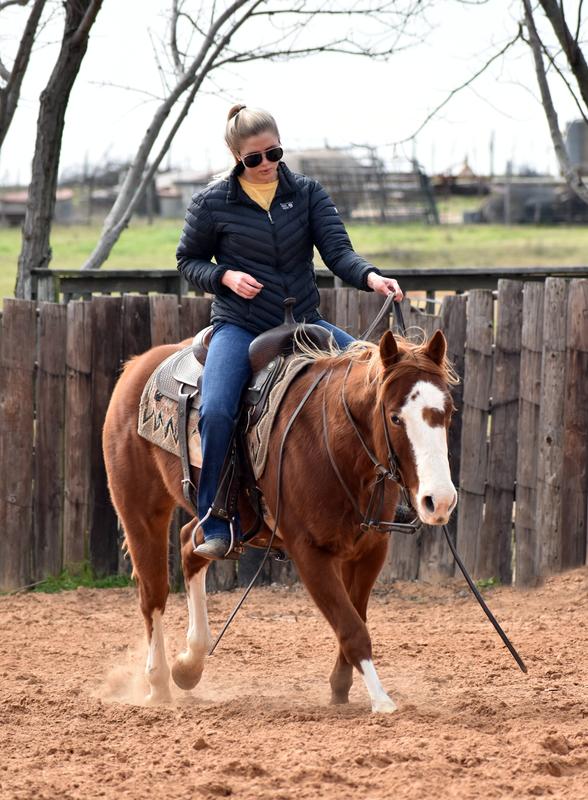 Nutrena Empower Boost High-Fat Rice Bran Horse Feed Supplement, 40 lb ...