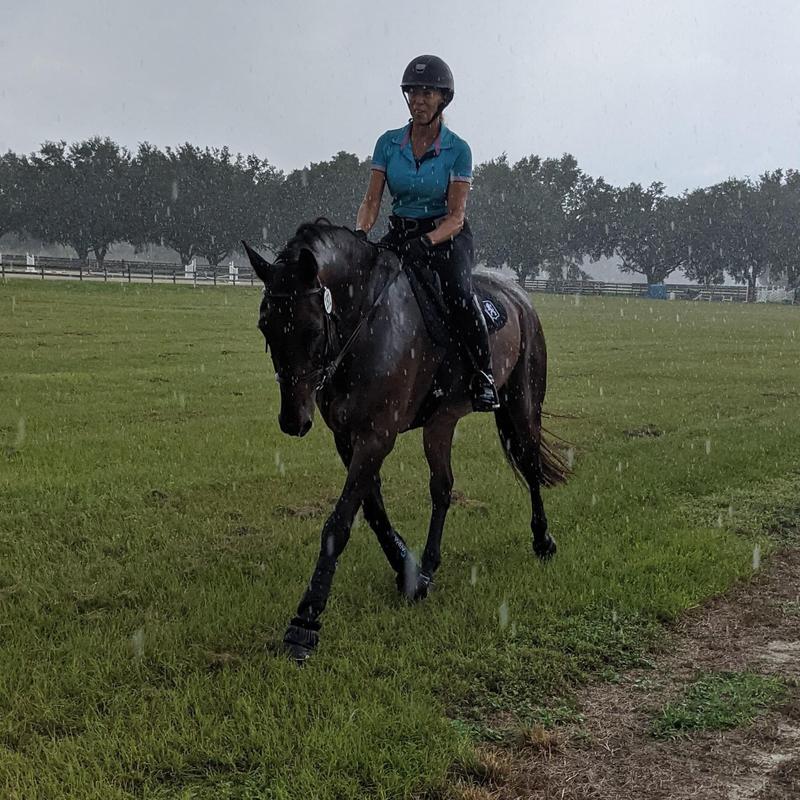 Nutrena Empower Boost High-Fat Rice Bran Horse Feed Supplement, 40 lb ...