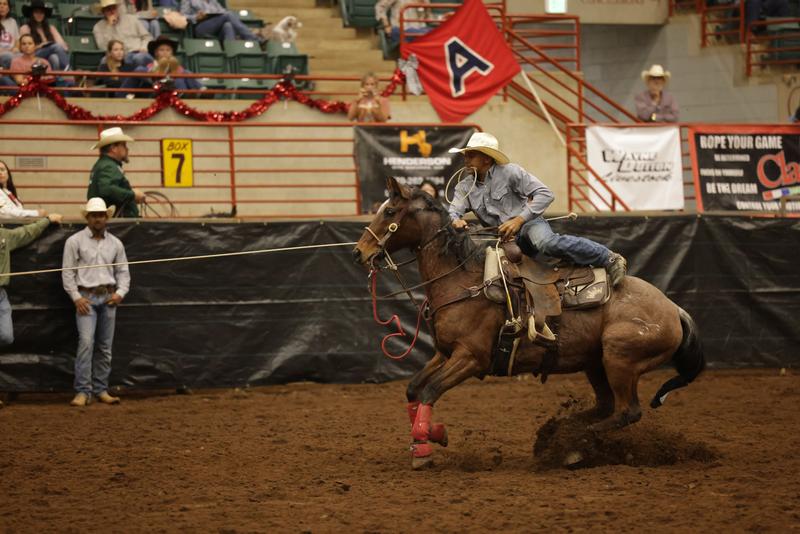 Nutrena ProForce Textured Senior Horse Feed, 50 lb. Bag at Tractor ...