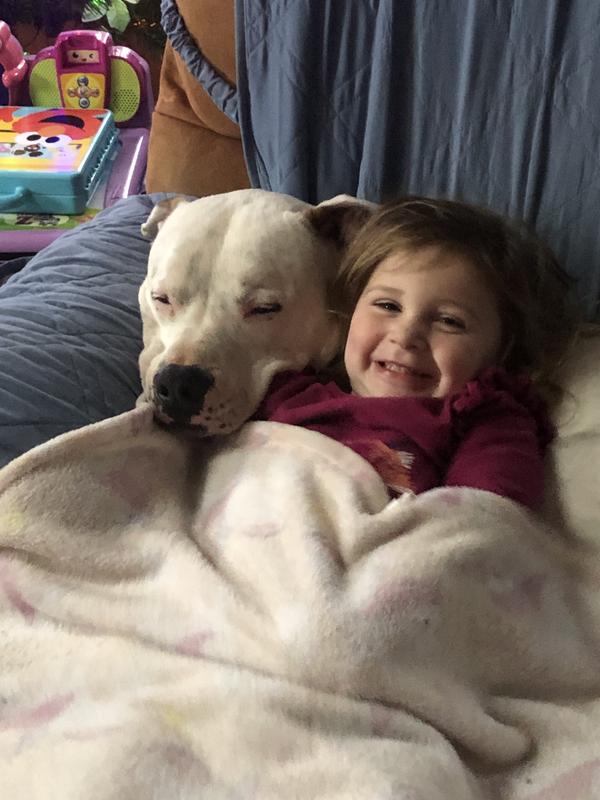 Nutrena Loyall Life All Life Stages Grain-Free Chicken and Sweet Potato ...