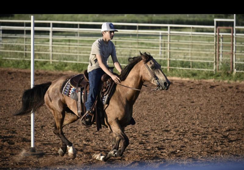 Nutrena ProForce Textured Senior Horse Feed, 50 lb. Bag at Tractor Supply Co