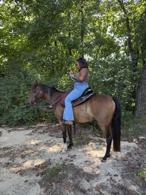 Nutrena ProForce Fuel XF Textured Horse Feed, 50 lb. Bag at Tractor ...