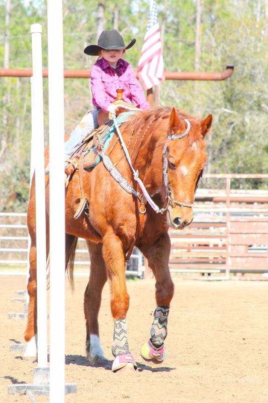 Nutrena ProForce Fuel XF Textured Horse Feed, 50 lb. Bag at Tractor ...