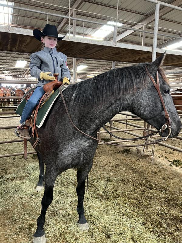 Nutrena Empower Boost High-Fat Rice Bran Horse Feed Supplement, 40 lb ...