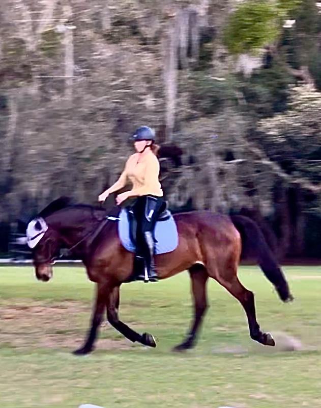 Nutrena Empower Boost High-Fat Rice Bran Horse Feed Supplement, 40 lb ...