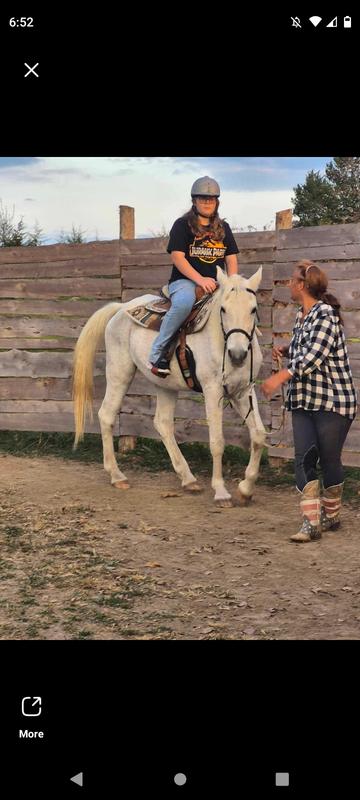 Nutrena ProForce Textured Senior Horse Feed, 50 lb. Bag at Tractor ...