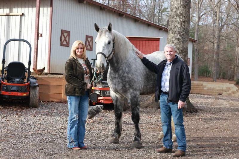 Nutrena ProForce Fuel XF Textured Horse Feed, 50 lb. Bag at Tractor ...