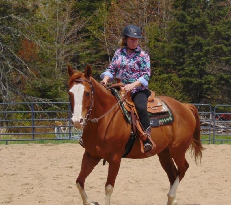 Nutrena SafeChoice Pelleted Senior Horse Feed, 50 lb. Bag at Tractor ...