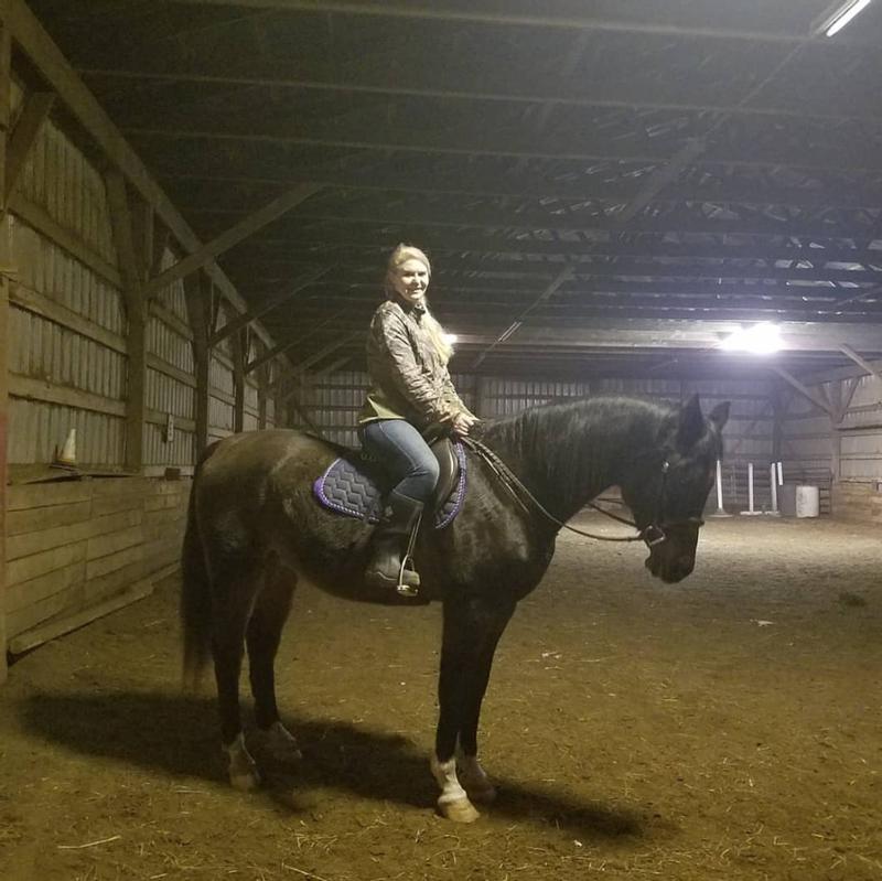 Nutrena ProForce Textured Senior Horse Feed, 50 lb. Bag at Tractor ...