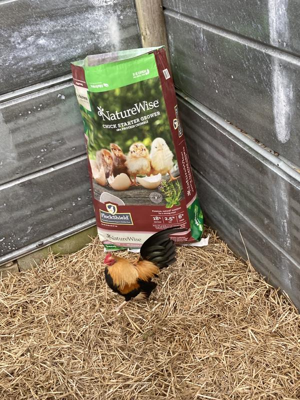 Nutrena NatureWise Chick Starter Grower Medicated Chicken Feed, 7 lb ...