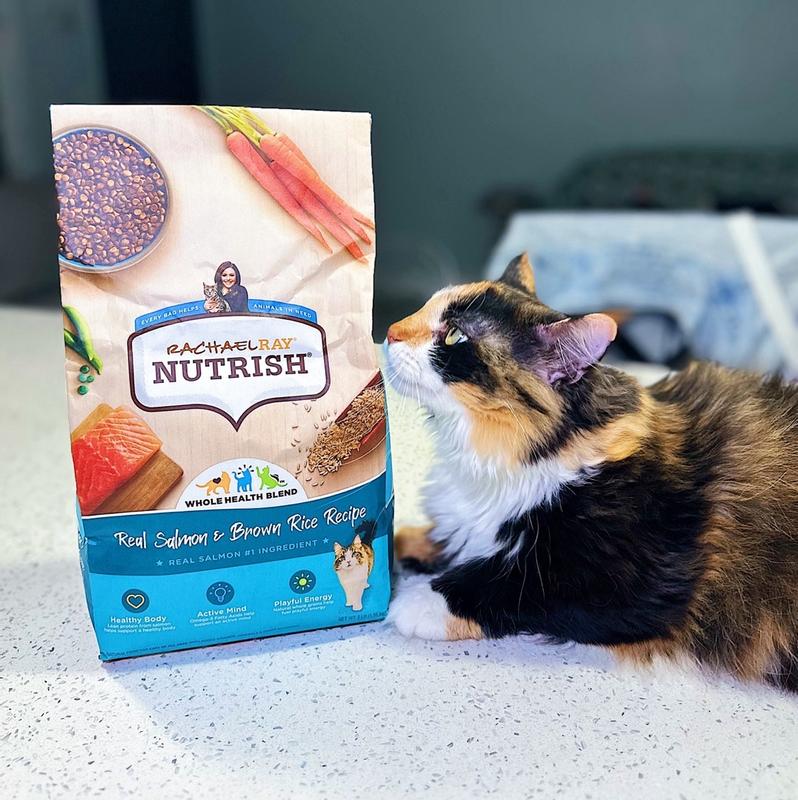 Rachael Ray Nutrish Natural Salmon & Brown Rice Recipe Dry Cat Food, 3 ...