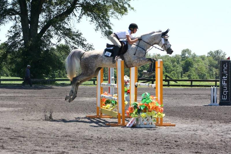 Ramard Total Joint Care Performance Formula for Horses at Tractor Supply Co