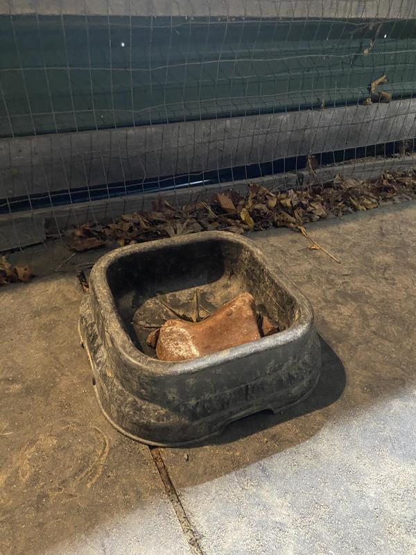 Fortiflex 50 lb. SBP-10 Salt Block Pan, Black at Tractor Supply Co