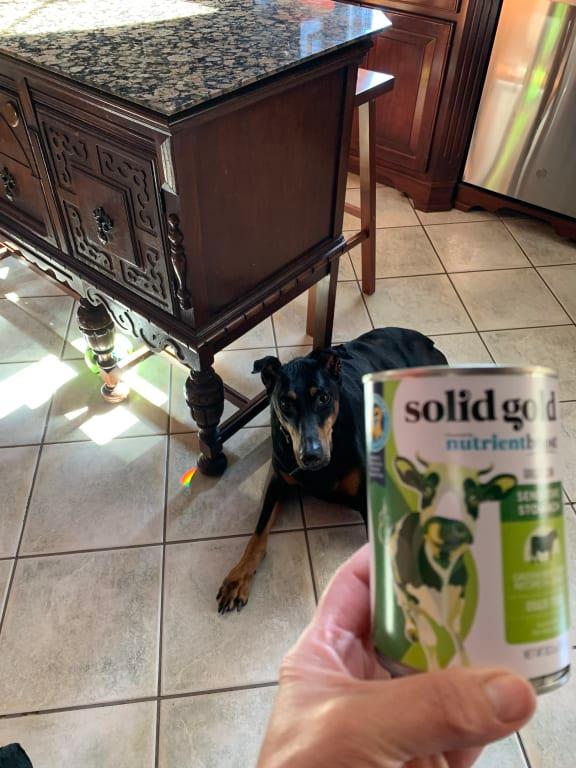 Solid Gold Green Cow Beef Tripe Grain-Free Dog Food 13.2 oz